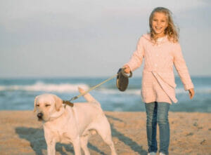 How To Fix A Retractable Dog Leash (5 Step Solution) - Doggie Blog