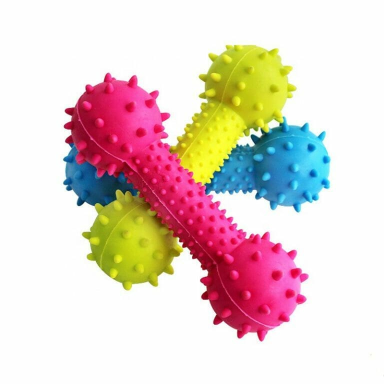 Squeaky Dumbbell Bone Toy - DoggieToys.Deals