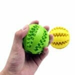Mint Scented Chew Ball Toy - DoggieToys.Deals