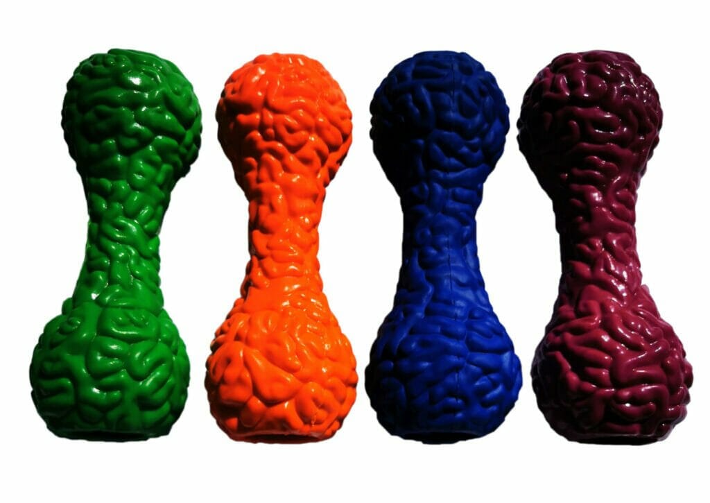Large Rubber Ribbed Bone Toy - DoggieToys.Deals