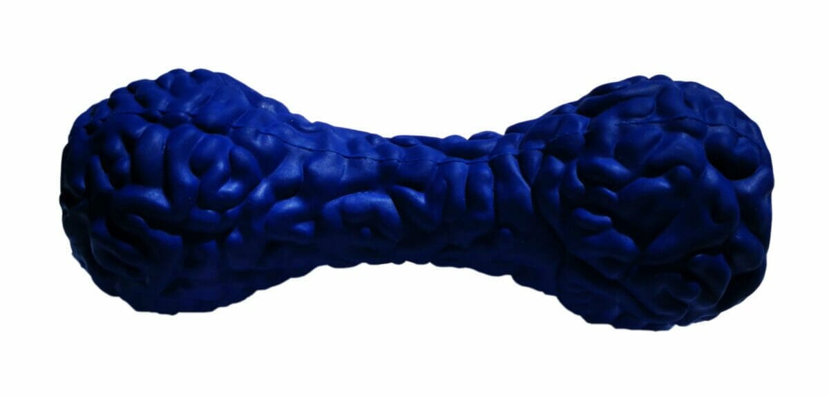 Large Rubber Ribbed Bone Toy - DoggieToys.Deals
