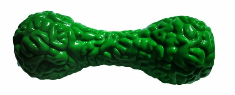 Large Rubber Ribbed Bone Toy - DoggieToys.Deals